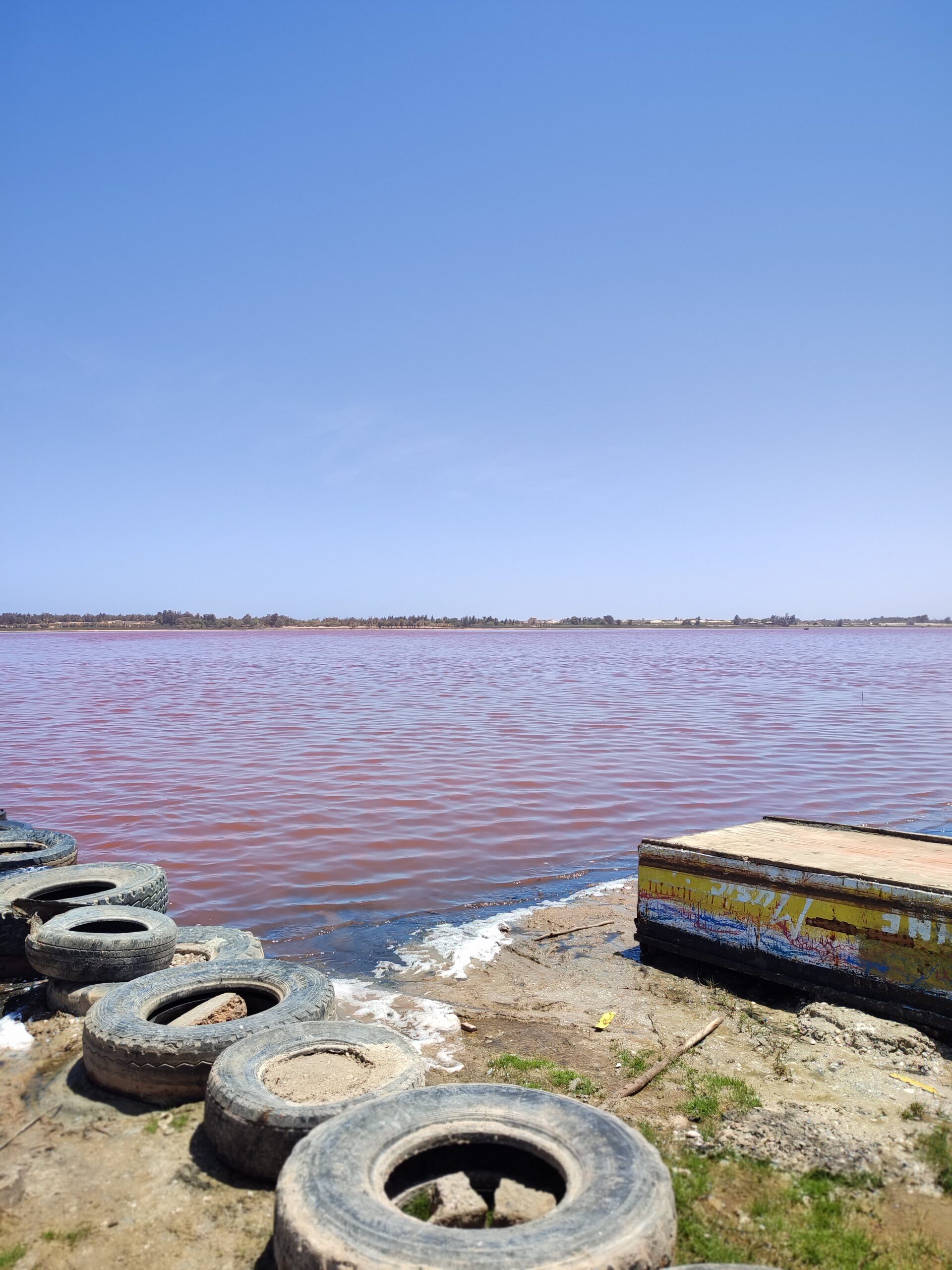 Le Lac Rose du Sénégal est-il vraiment rose ? - SUNU KIDS
